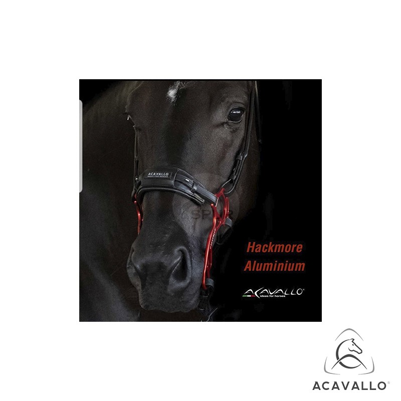 Hackmore Acavallo Alupro :: SPUR Hipismo
